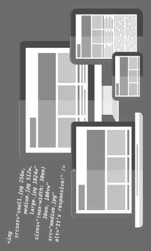 Remove srcset on WordPress - ntorga's